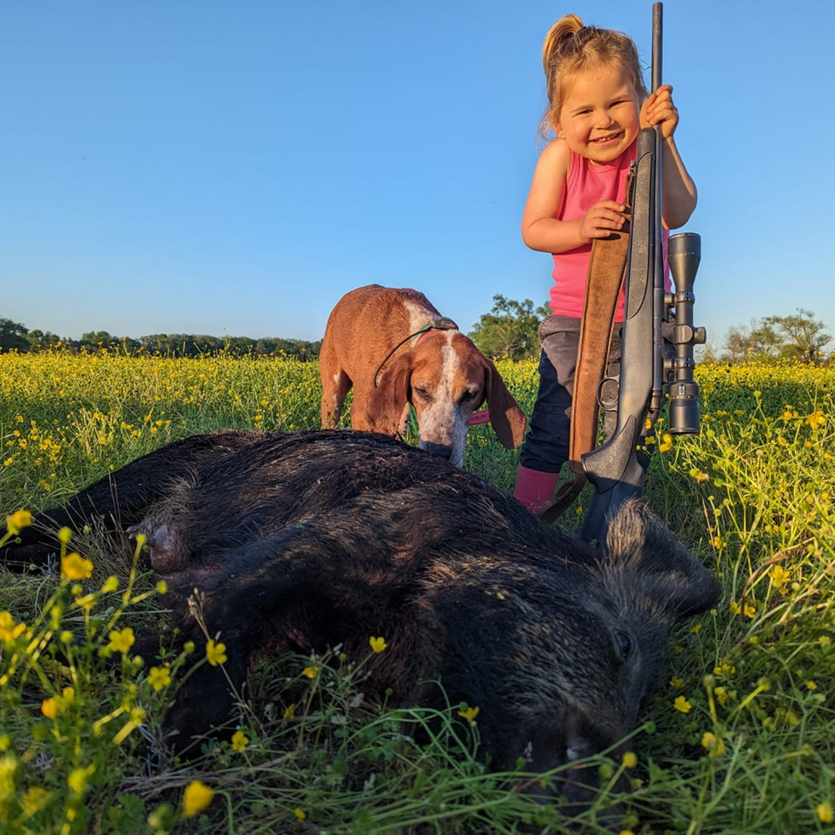 Garmin Astro or Alpha T5 Mini Tracking Collar with New Collar and Ante ...