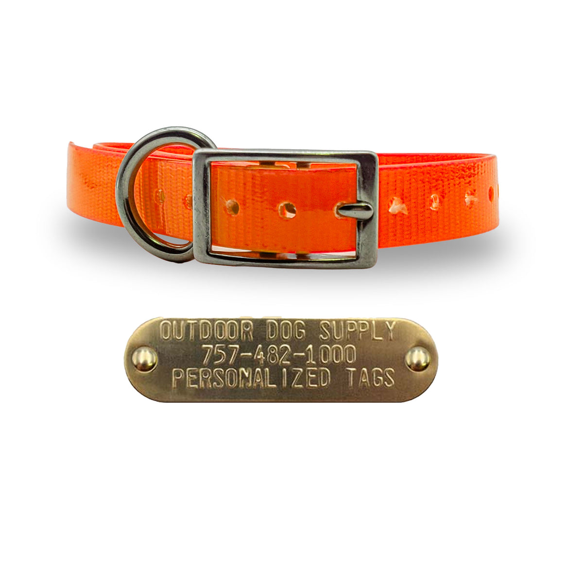 3/4" Solid Premium Collar with Stainless Steel D ring and Buckle ...
