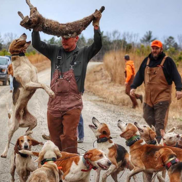 Stainless Steel Hook Dog Pail Bucket – Outdoor Dog Supply