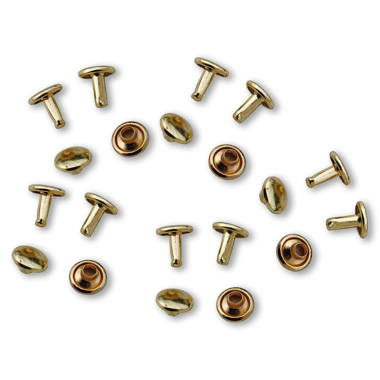 Brass Hammer Rivets – Outdoor Dog Supply