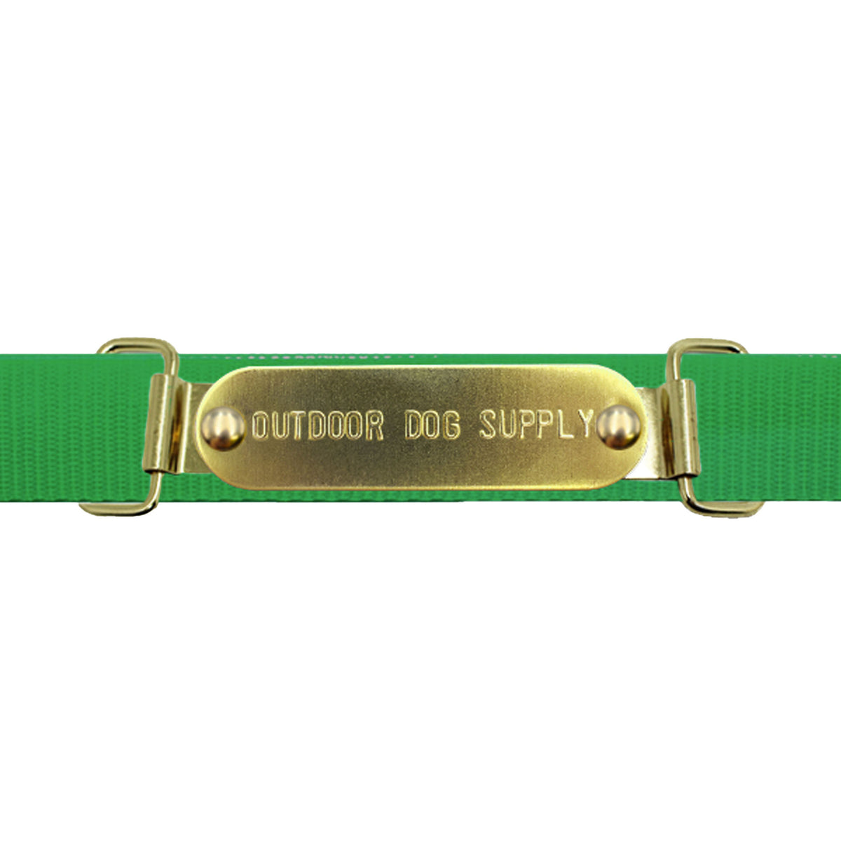 Custom 3/4" x 2 3/4" Raised Lettering Brass Dog Collar Name Tags with ...