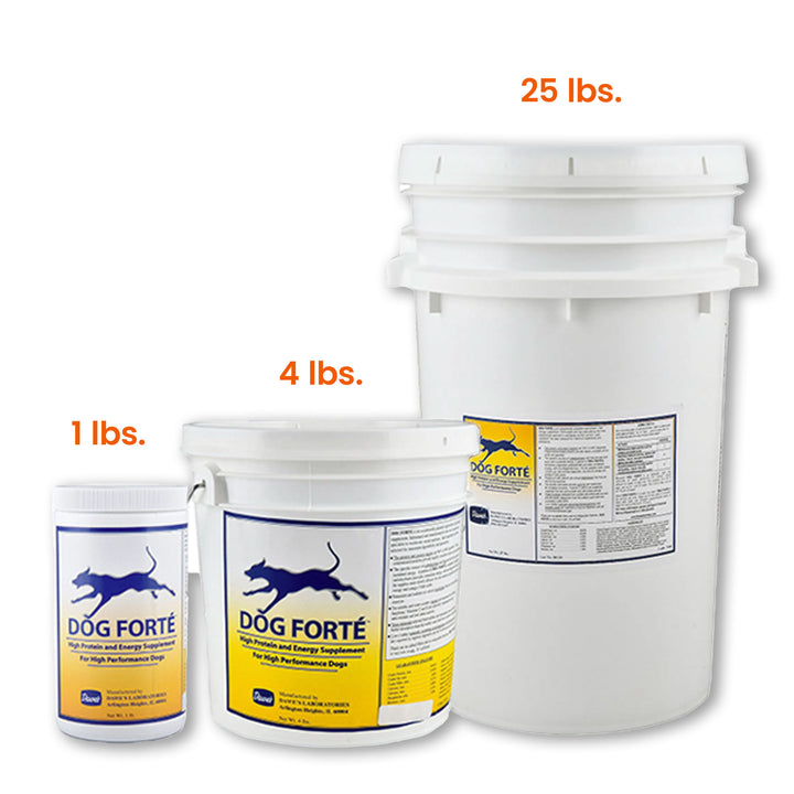Dog Forte Supplement – Outdoor Dog Supply