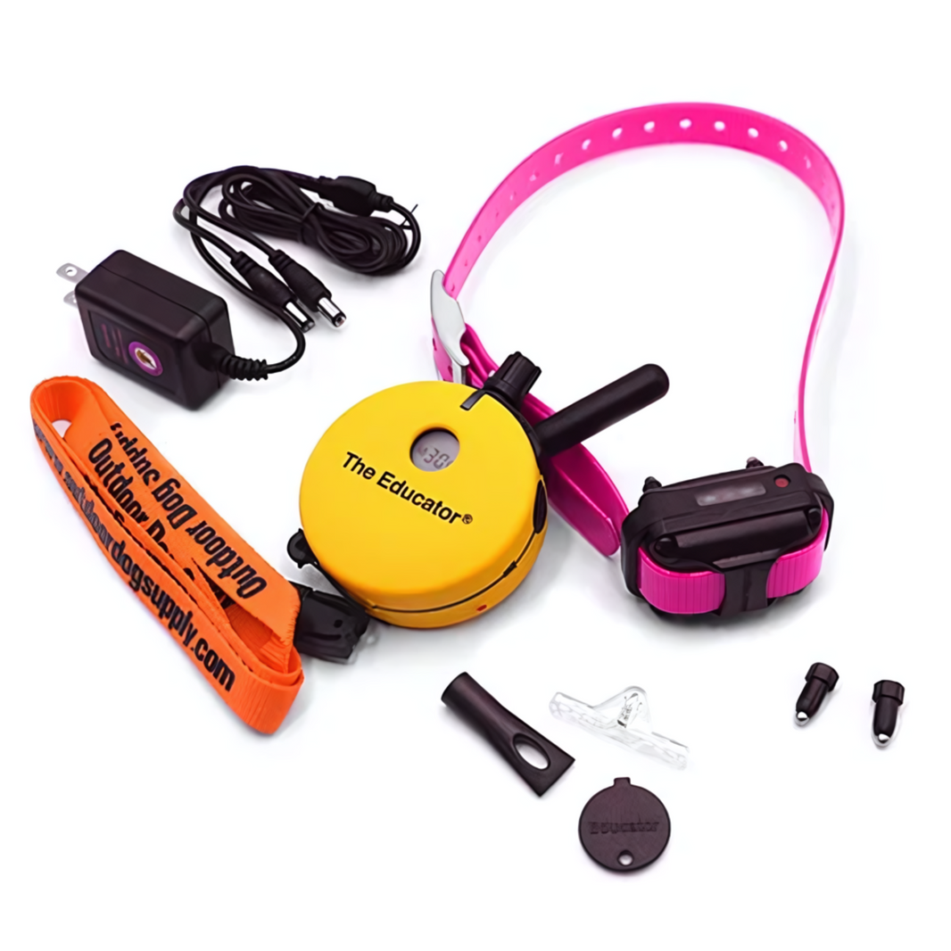 E-Collar Technologies Remote Trainers – Outdoor Dog Supply