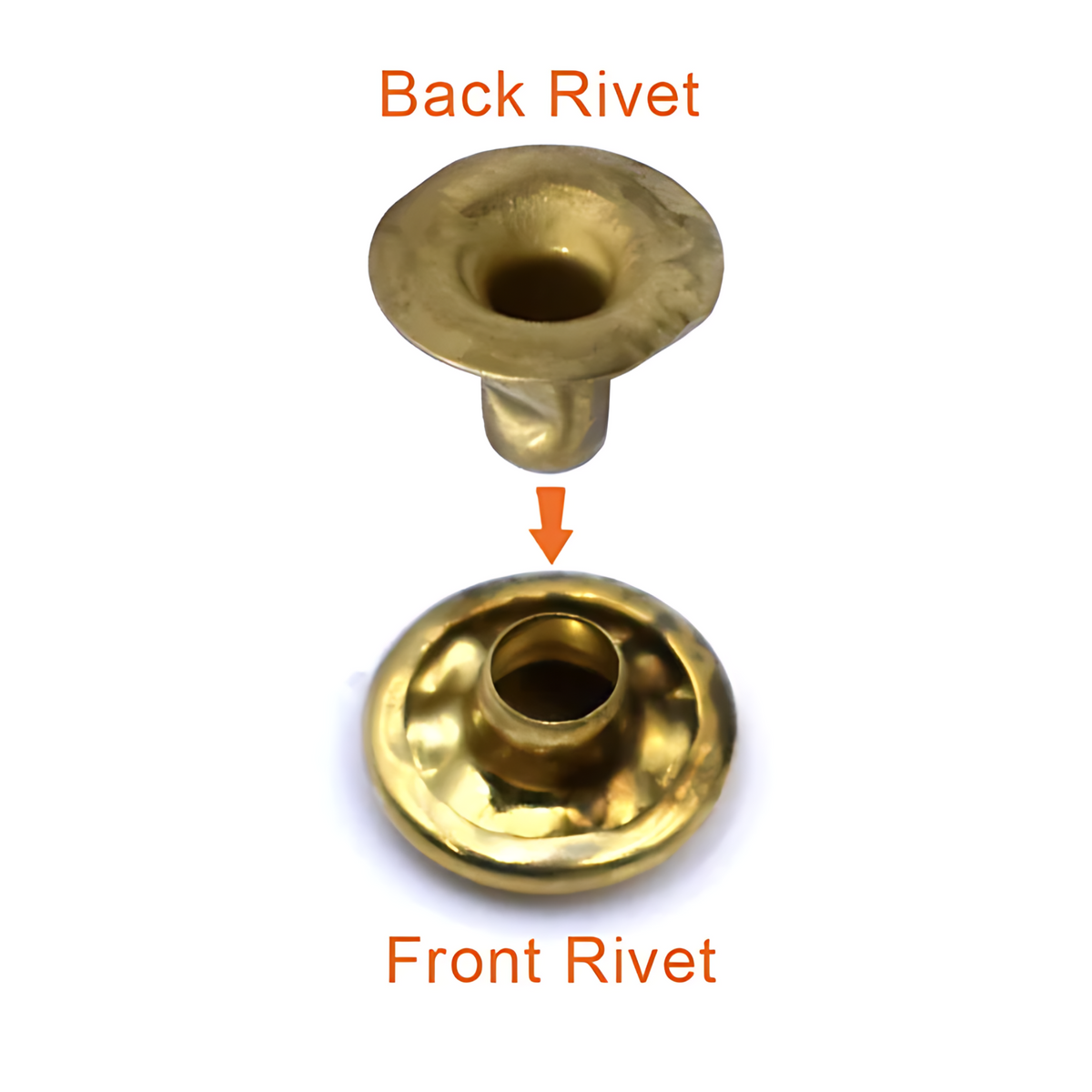Brass Plated Snap Rivets – Outdoor Dog Supply