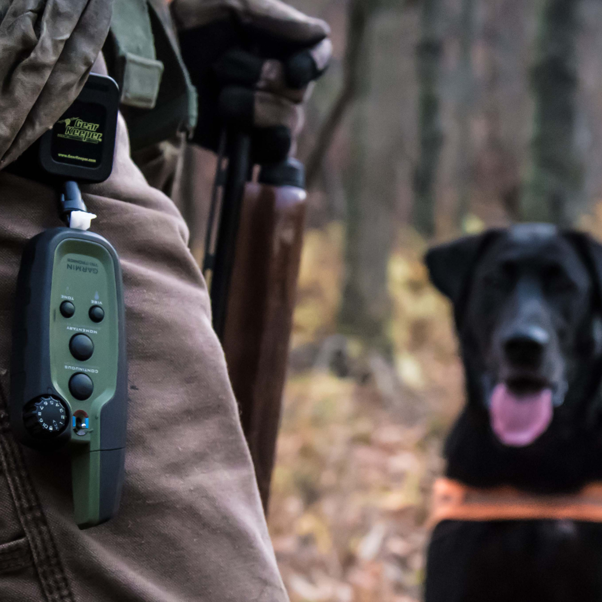 Garmin Sport PRO Professional Remote Trainer Combo – Outdoor Dog Supply