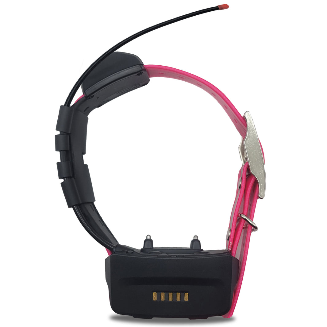Garmin TT15X Collar- Factory Refurbished – Outdoor Dog Supply