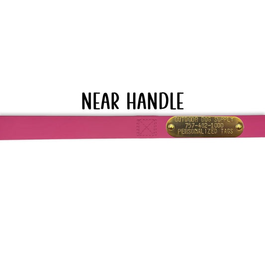 6 ft Carnival Color Dog Leash with Custom Name Plate – Outdoor Dog Supply
