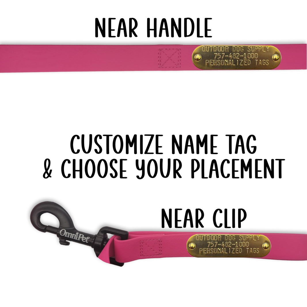 6 ft Carnival Color Dog Leash with Custom Name Plate – Outdoor Dog Supply