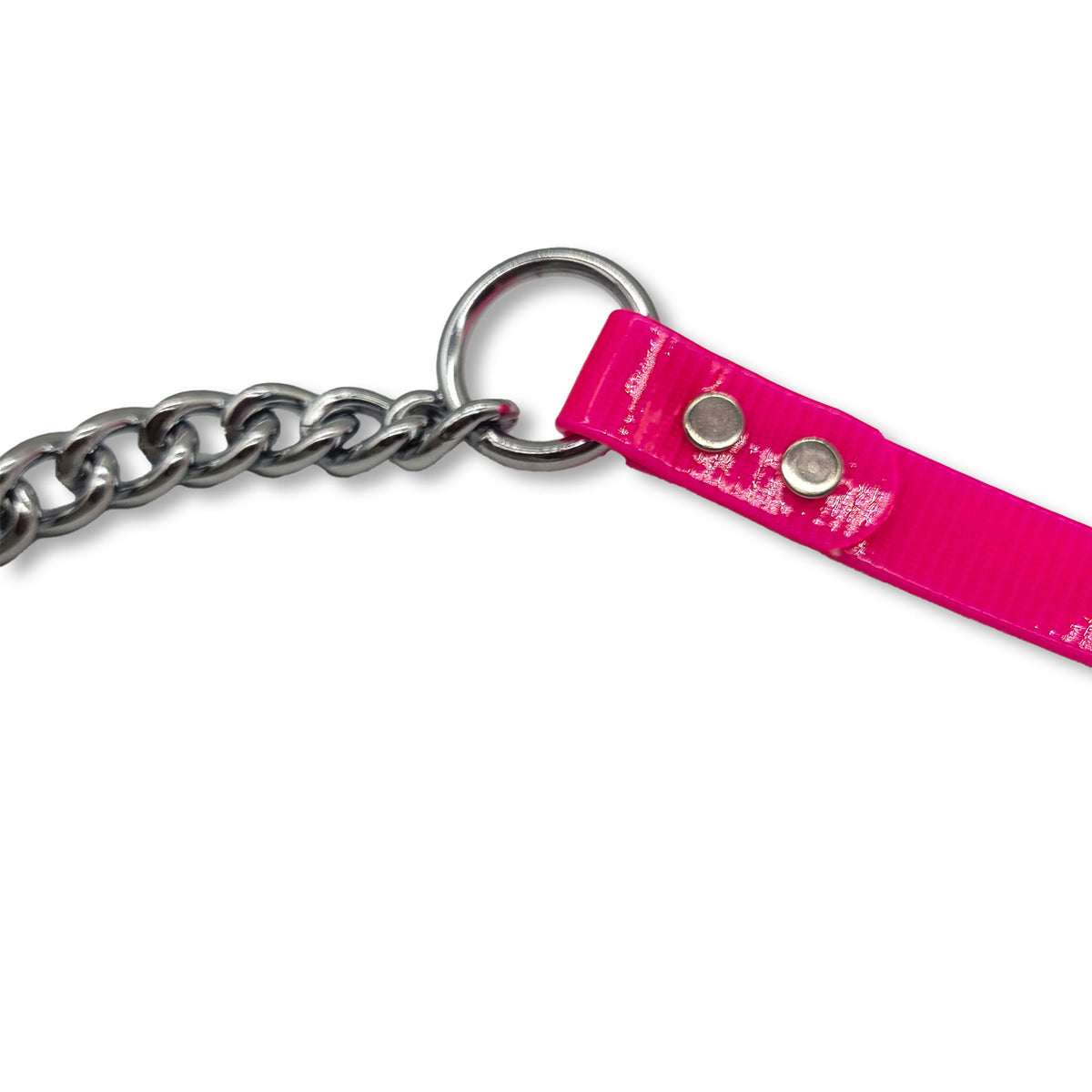 Treeing Leads | Leashes – Outdoor Dog Supply