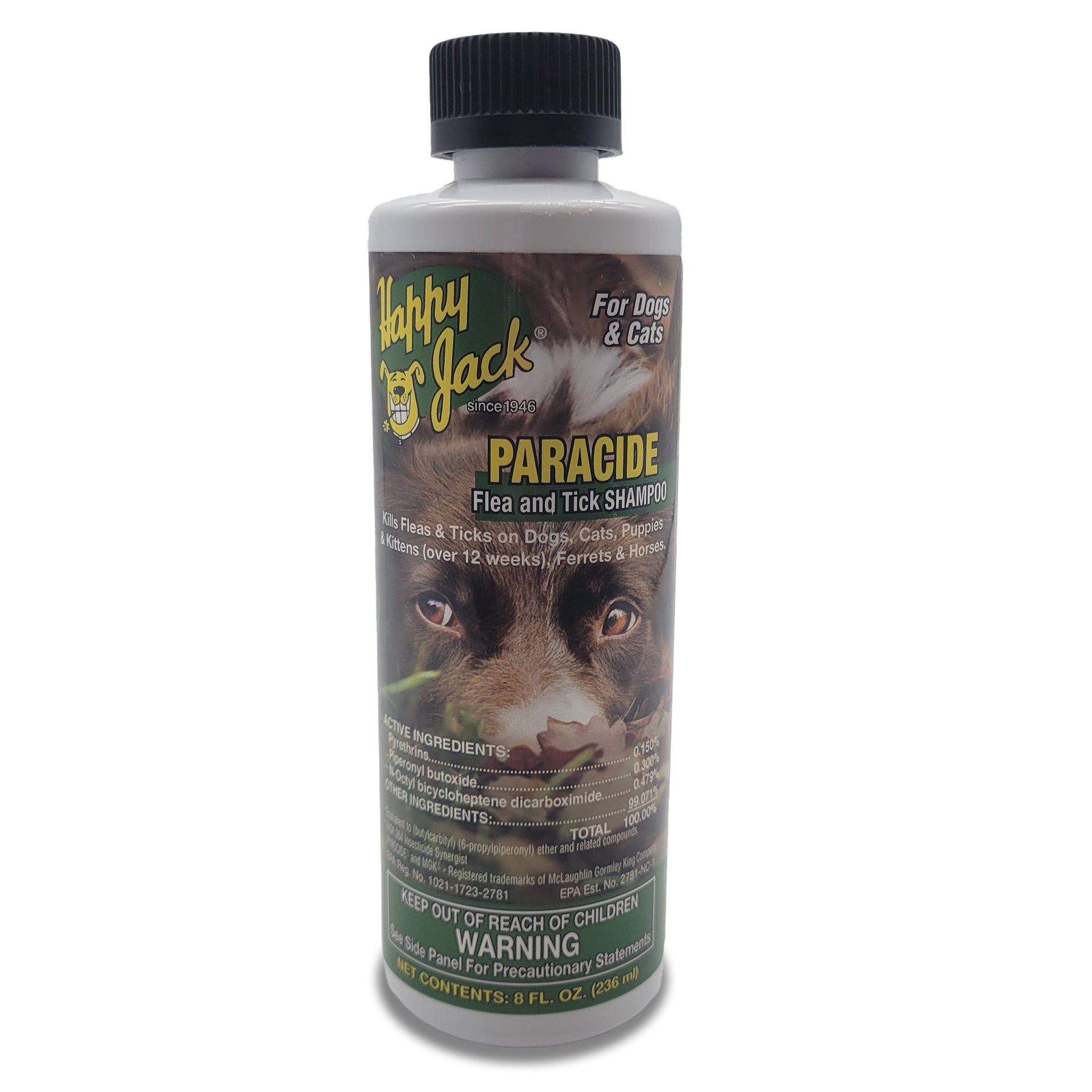 Grooming – Outdoor Dog Supply