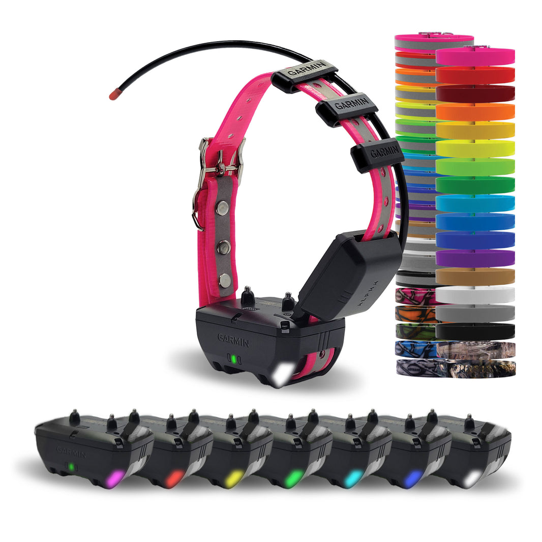 Garmin TT25 Mini Tracking and Training Collar with Short Flex Band ...