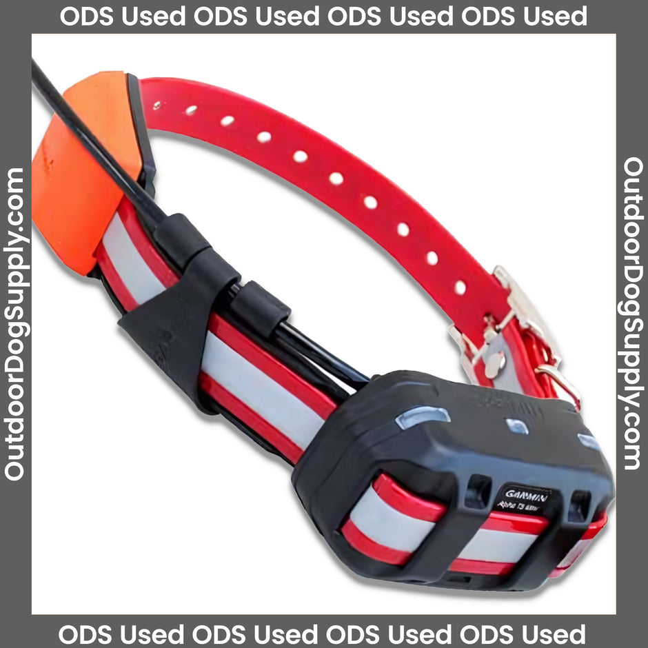 Garmin Astro or Alpha T5 Mini Tracking Collar with New Basic Collar an ...
